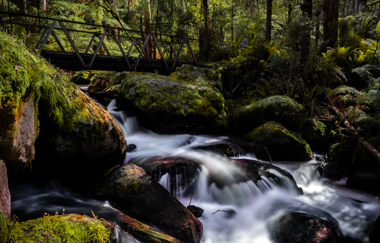 toorongo falls campsite. - black barrow.
